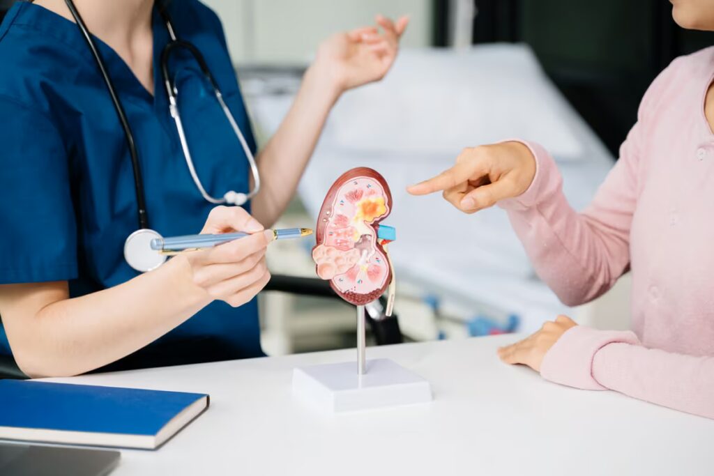 Kidney & Bladder Issues - Arden Forest Ultrasound